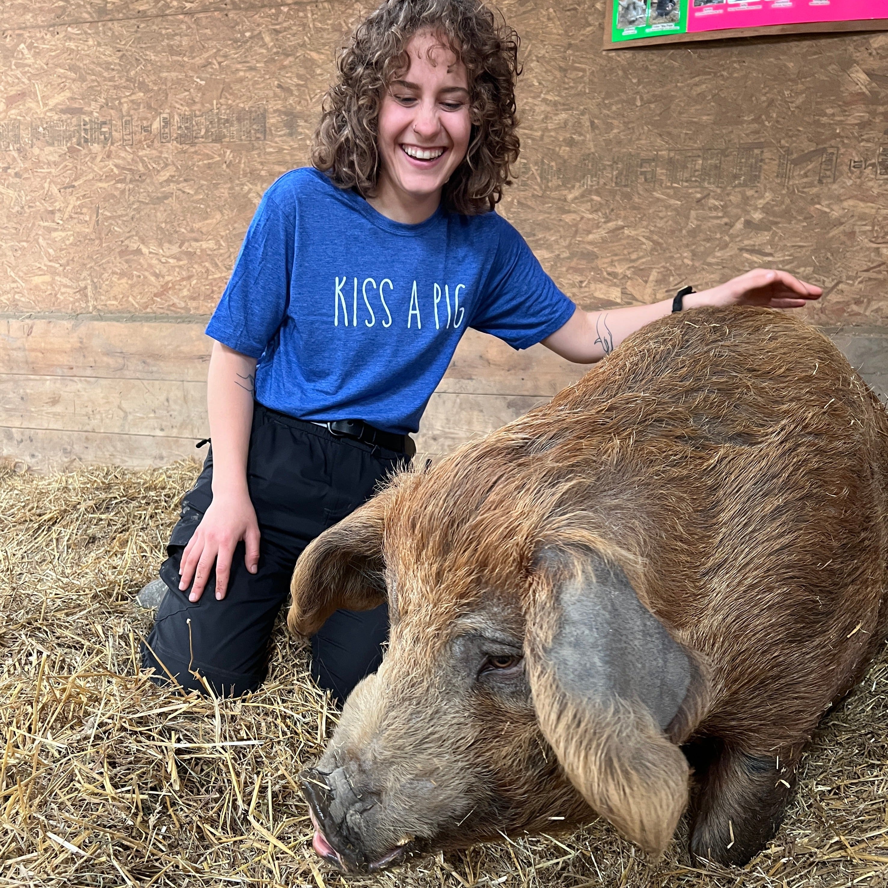 Kiss a Pig T-Shirt - Blue – Barn Sanctuary