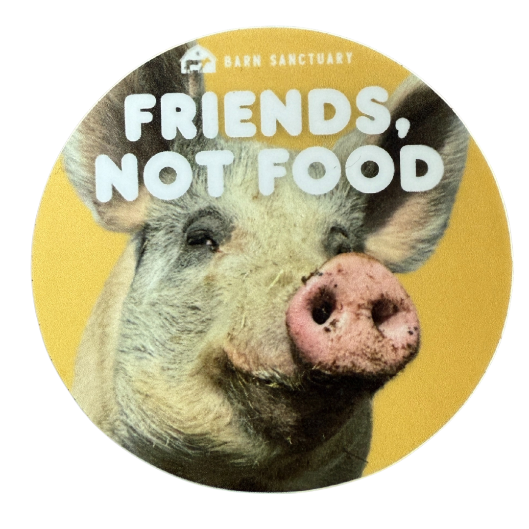 Anna Friends Not Food Sticker – Barn Sanctuary