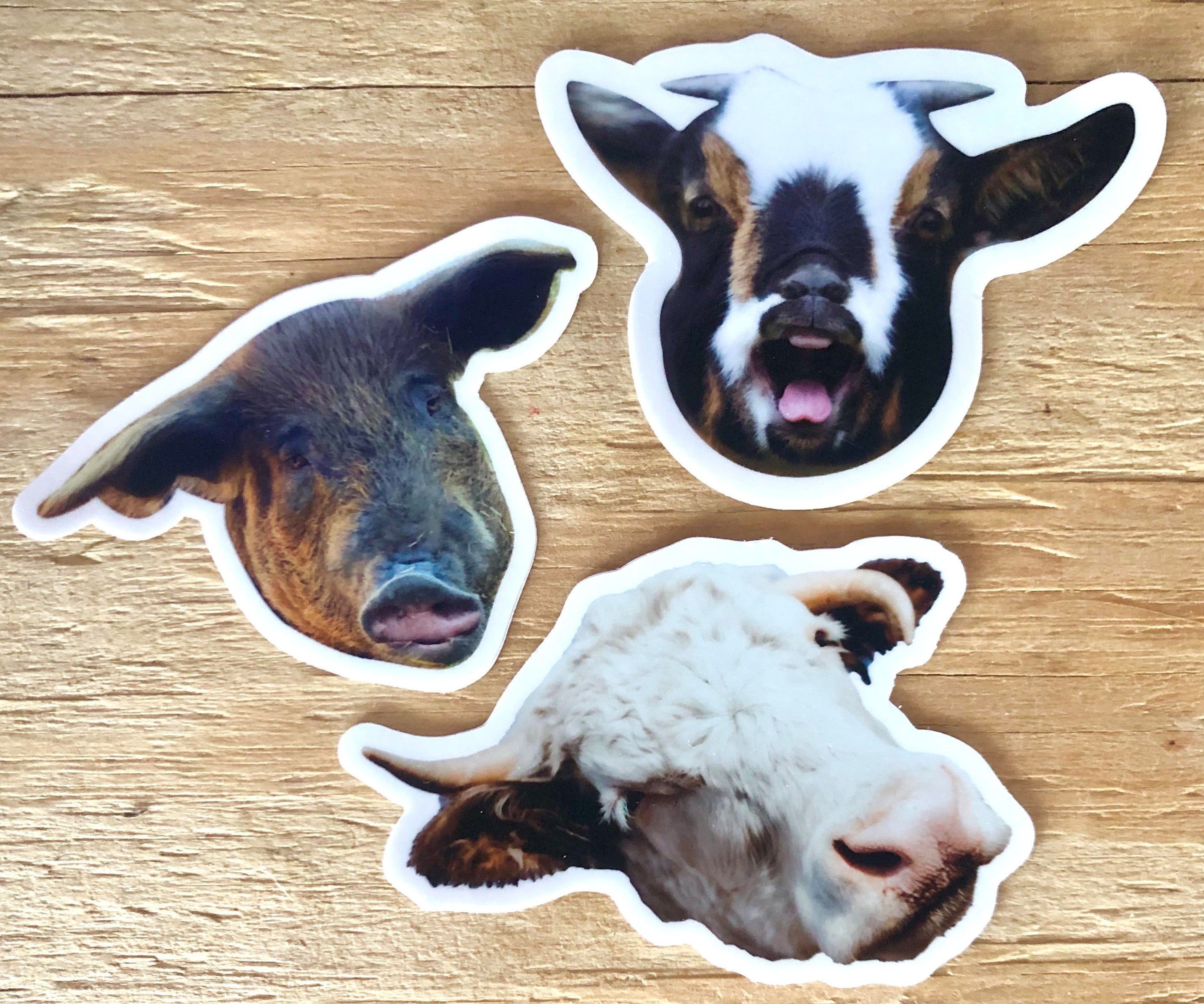 Mike, KJ, and Little Dude Stickers - Set of 3 – Barn Sanctuary