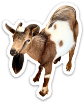 Gunther Sticker – Barn Sanctuary