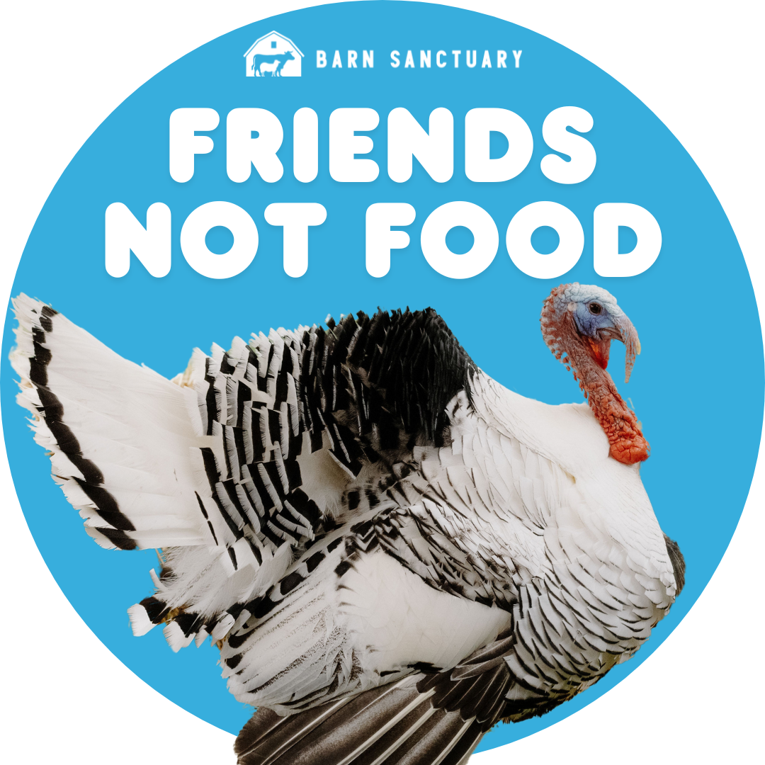 Lewis Friends Not Food Sticker – Barn Sanctuary