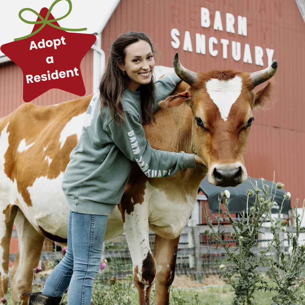 Symbolically Adopt a Resident – Barn Sanctuary