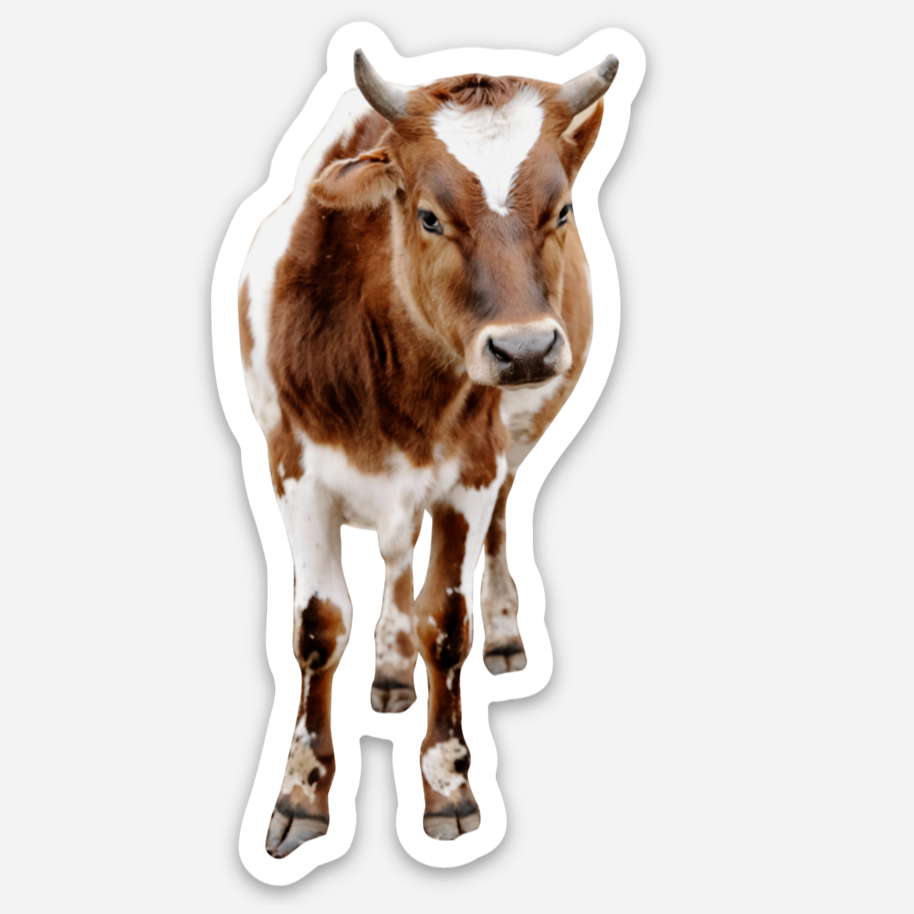 Hopper Cow Sticker – Barn Sanctuary